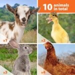 Charity Gift Catalog | Gifts That Give Back | World Vision