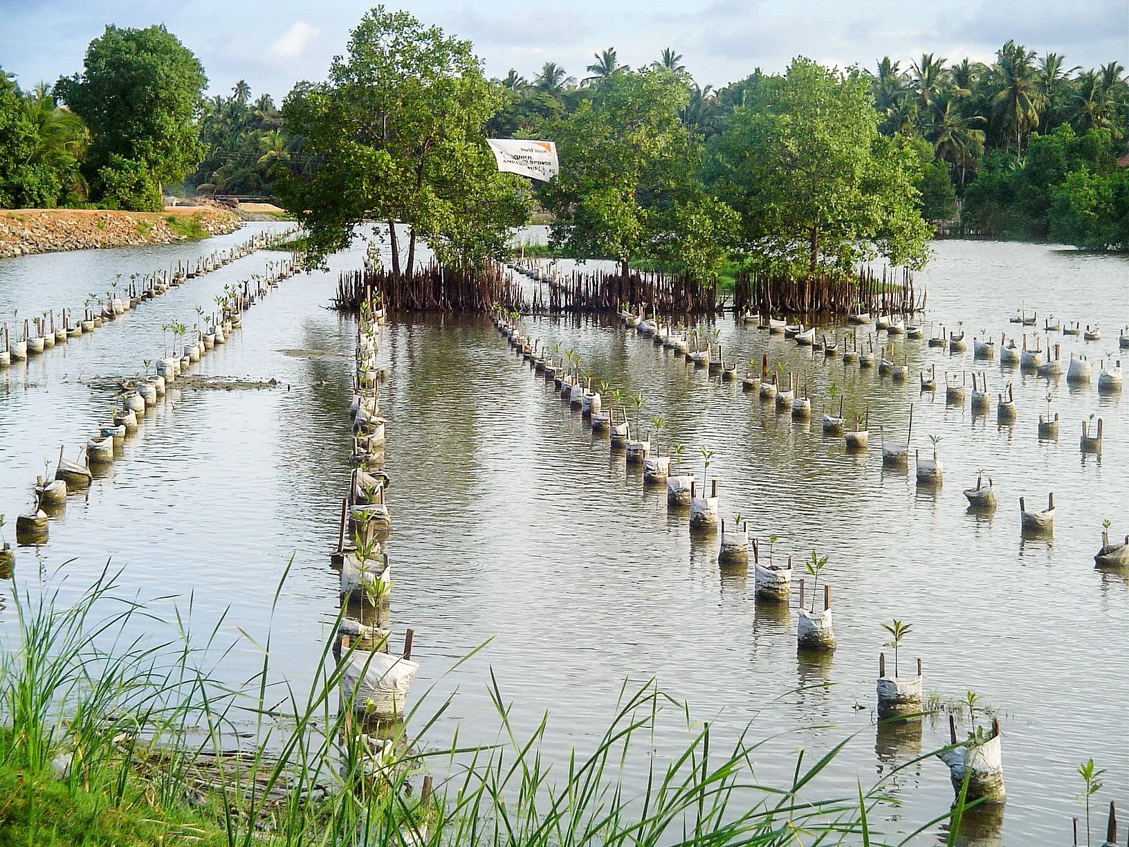 From destruction to hope: 20 years after the Indian Ocean tsunami ...