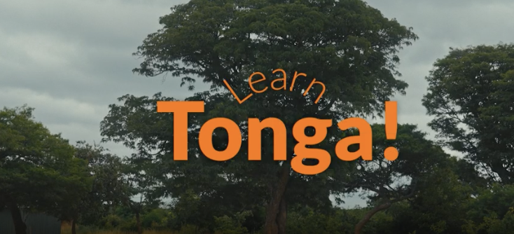 Learn Tonga | World Vision